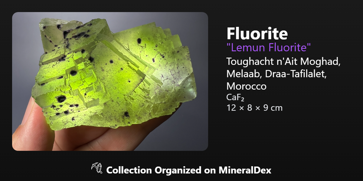 MineralDex - Professional Mineral Collection Management | Crystal Castle TX